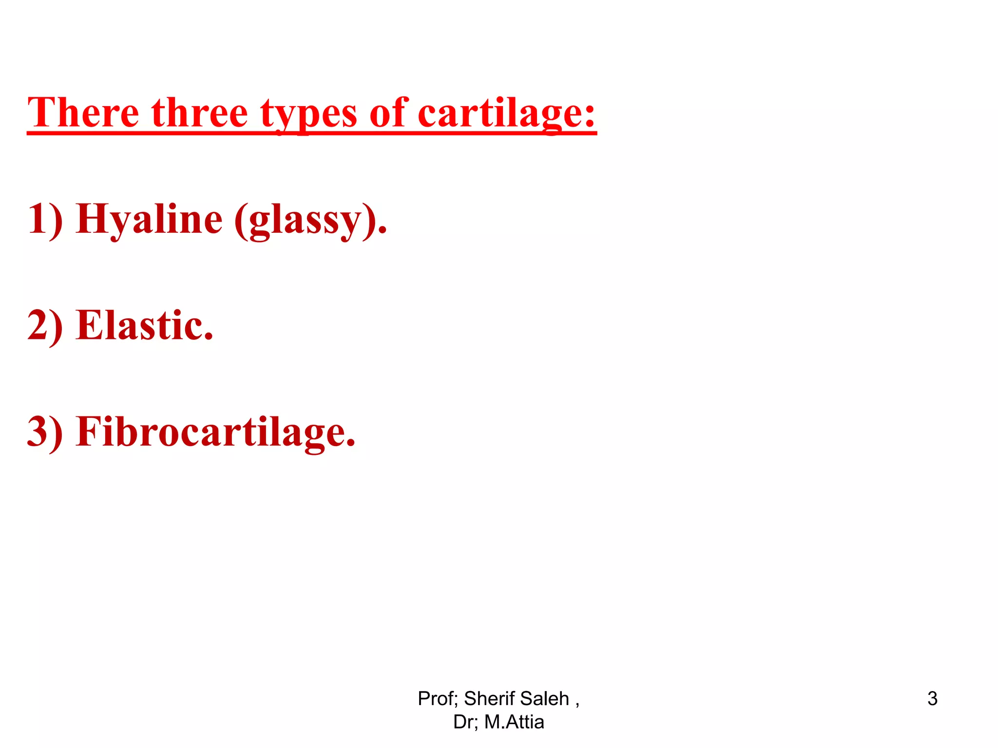 Basics of the Cartilage Histology | PPT