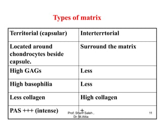 Basics of the Cartilage Histology | PPT