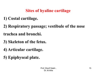 Basics of the Cartilage Histology | PPT