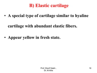 Basics of the Cartilage Histology | PPT