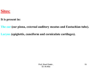 Basics of the Cartilage Histology | PPT