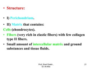 Basics of the Cartilage Histology | PPT