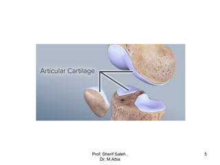 Basics of the Cartilage Histology | PPT