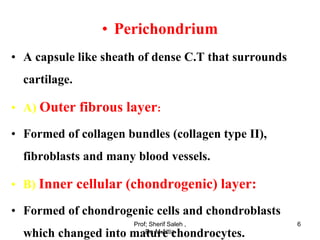 Basics of the Cartilage Histology | PPT