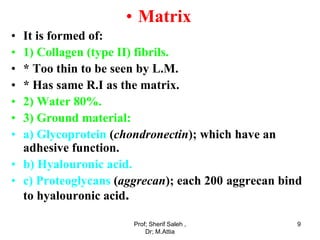 Basics of the Cartilage Histology | PPT
