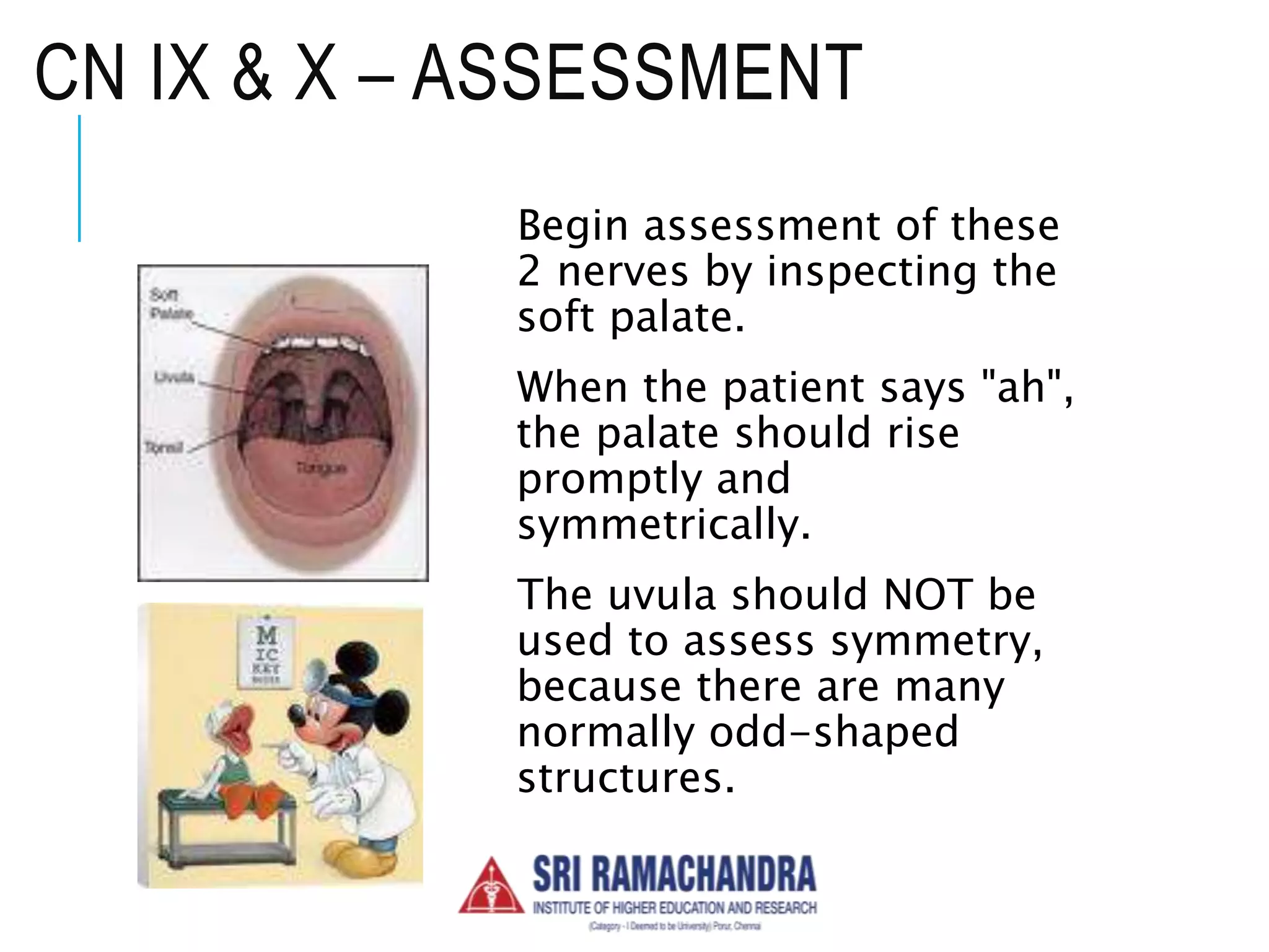 Carinal nerve assessment.ppt