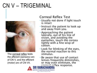 Carinal nerve assessment.ppt