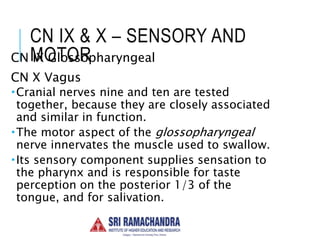 Carinal nerve assessment.ppt