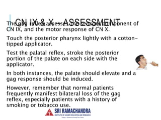 Carinal nerve assessment.ppt