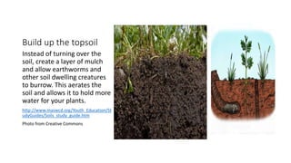 Caring for our water supply | PPT