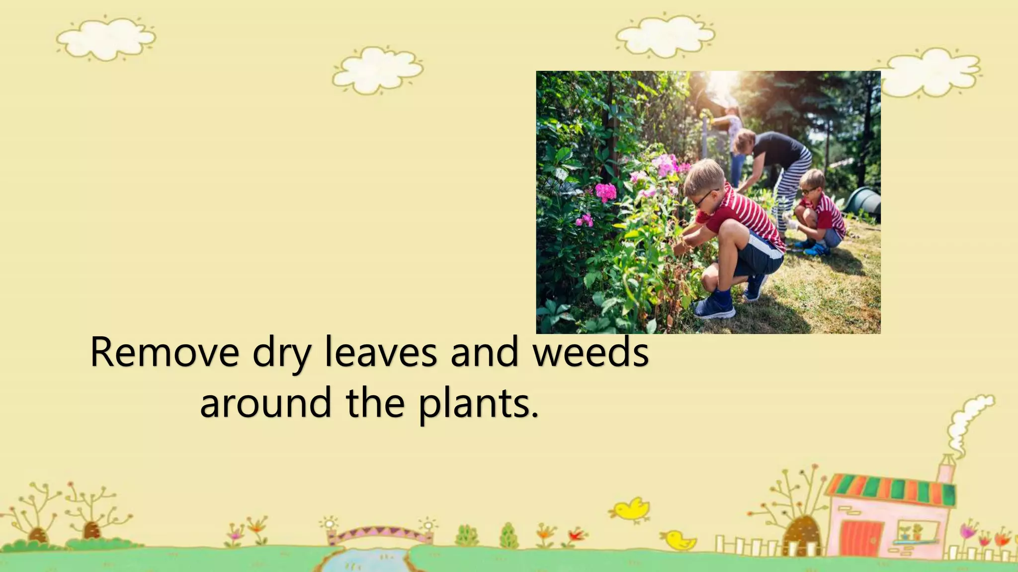 Caring for Plants | PPTX