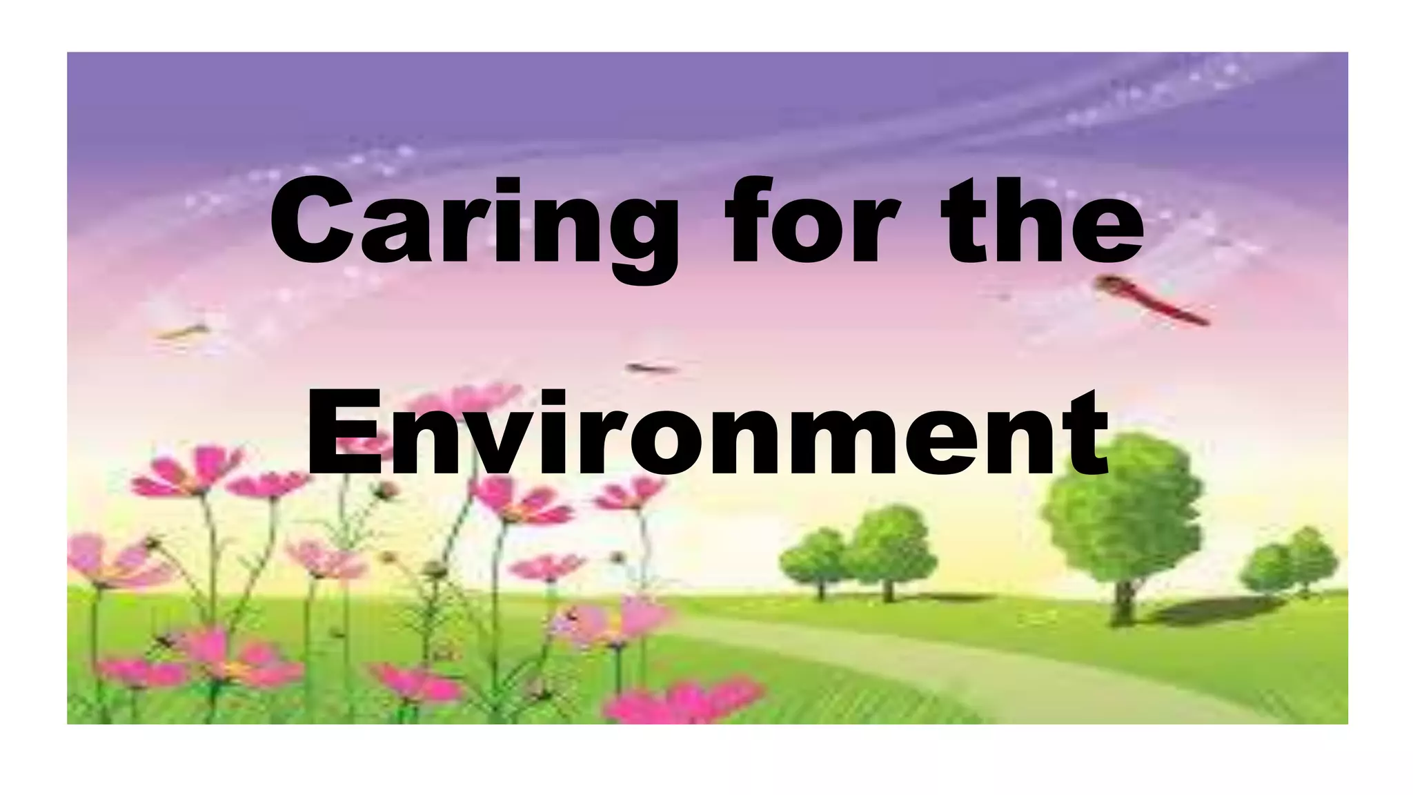 Caring for the Environment | PPTX