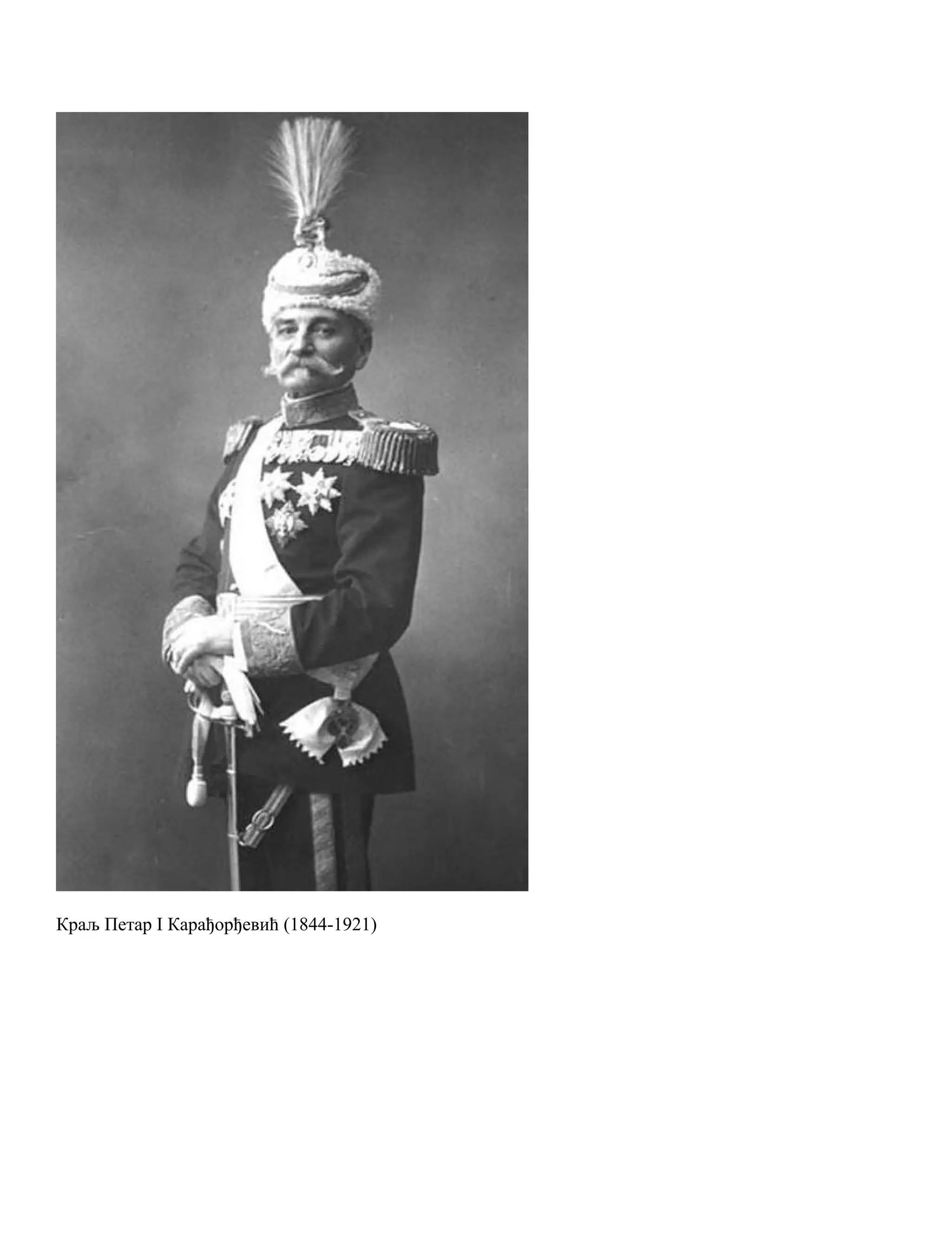 Carinski svinjski rat | DOC