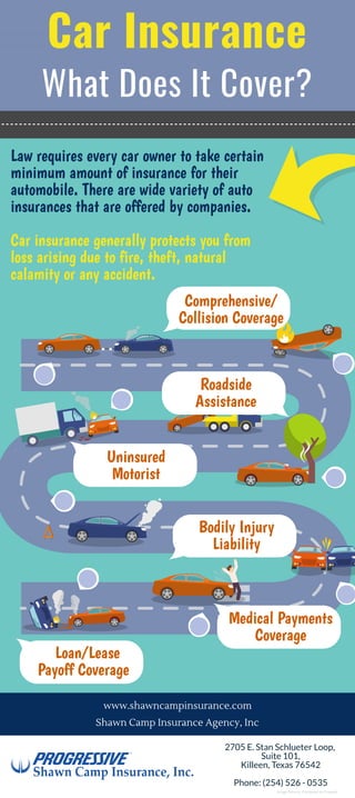 Car Insurance What Does It Cover? | PDF