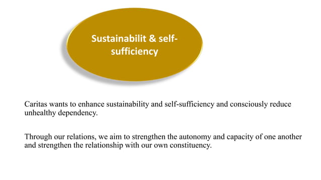 Caritas' Core Values.pptx