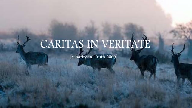 Caritas in Veritate | PPTX