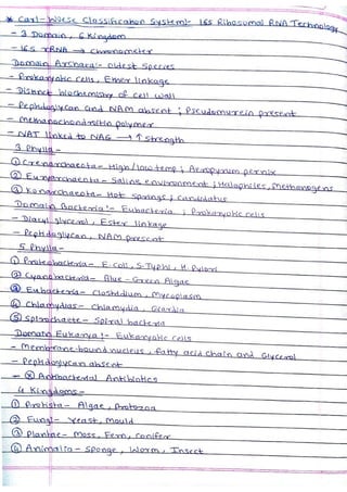 Carl - Woese Classification System | PDF