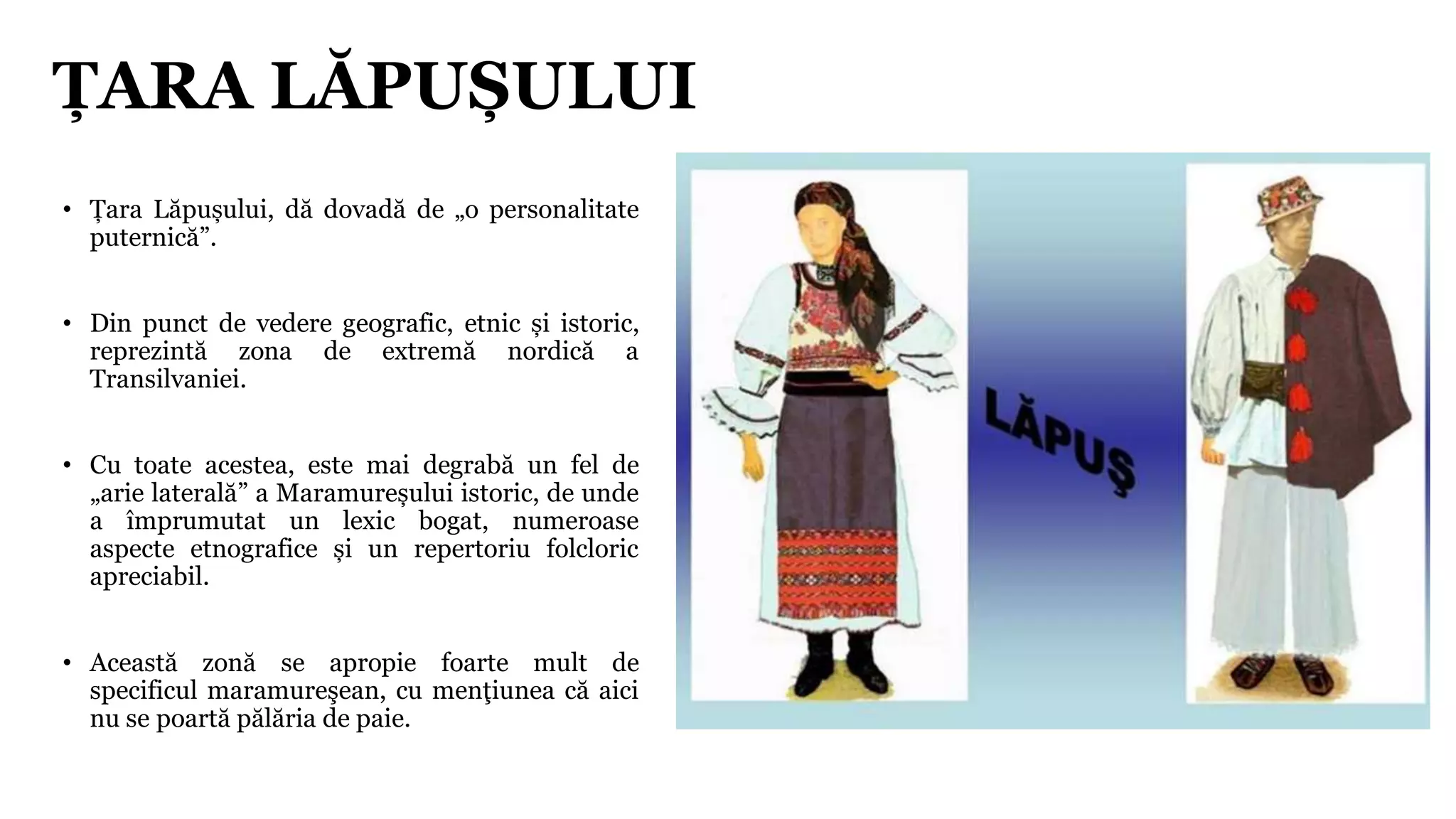Carla - Costumul romanesc maramuresean | PDF