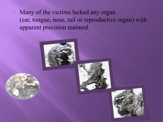 Carlaberruecos | PPTX