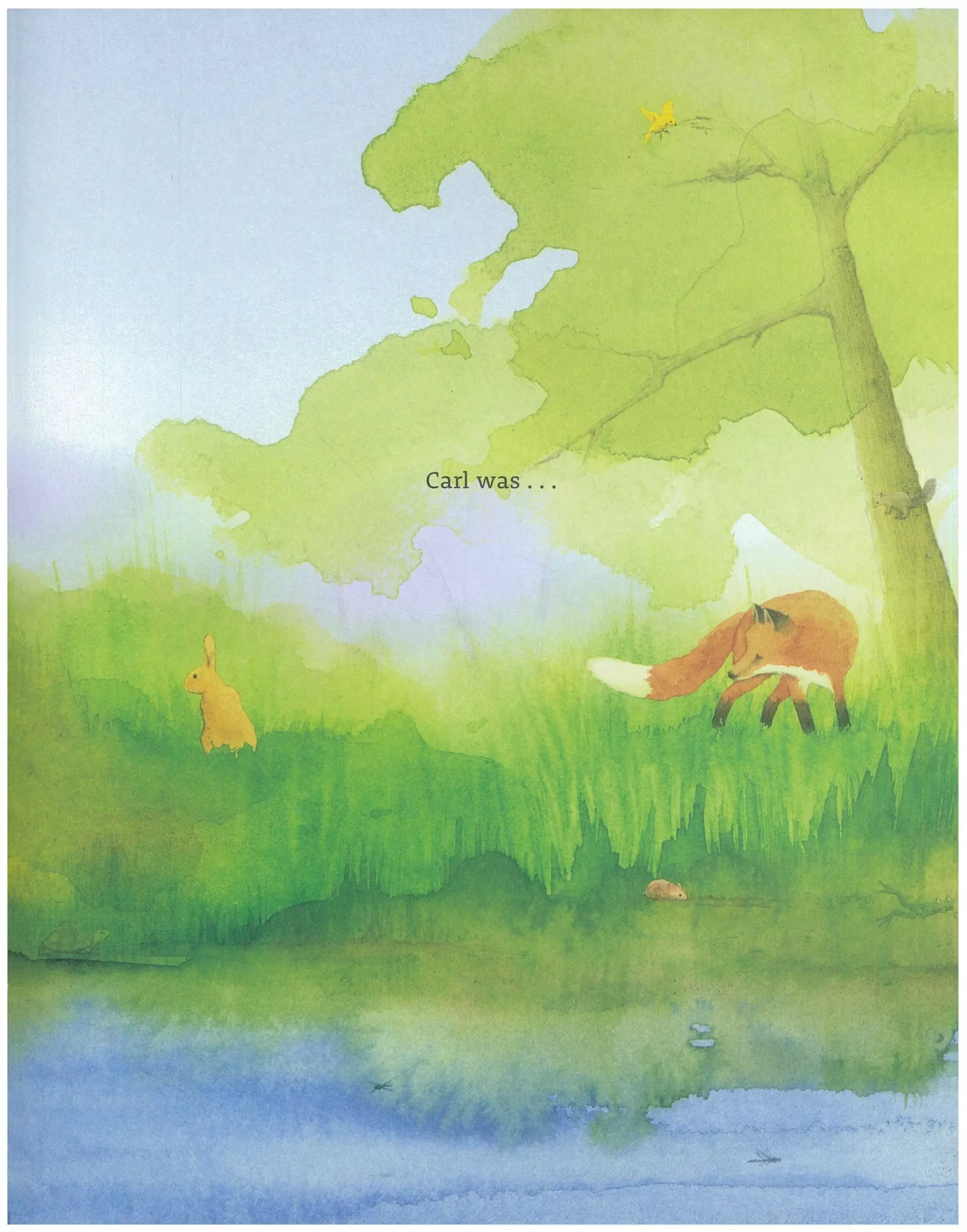 Carl and the Meaning of Life | PDF