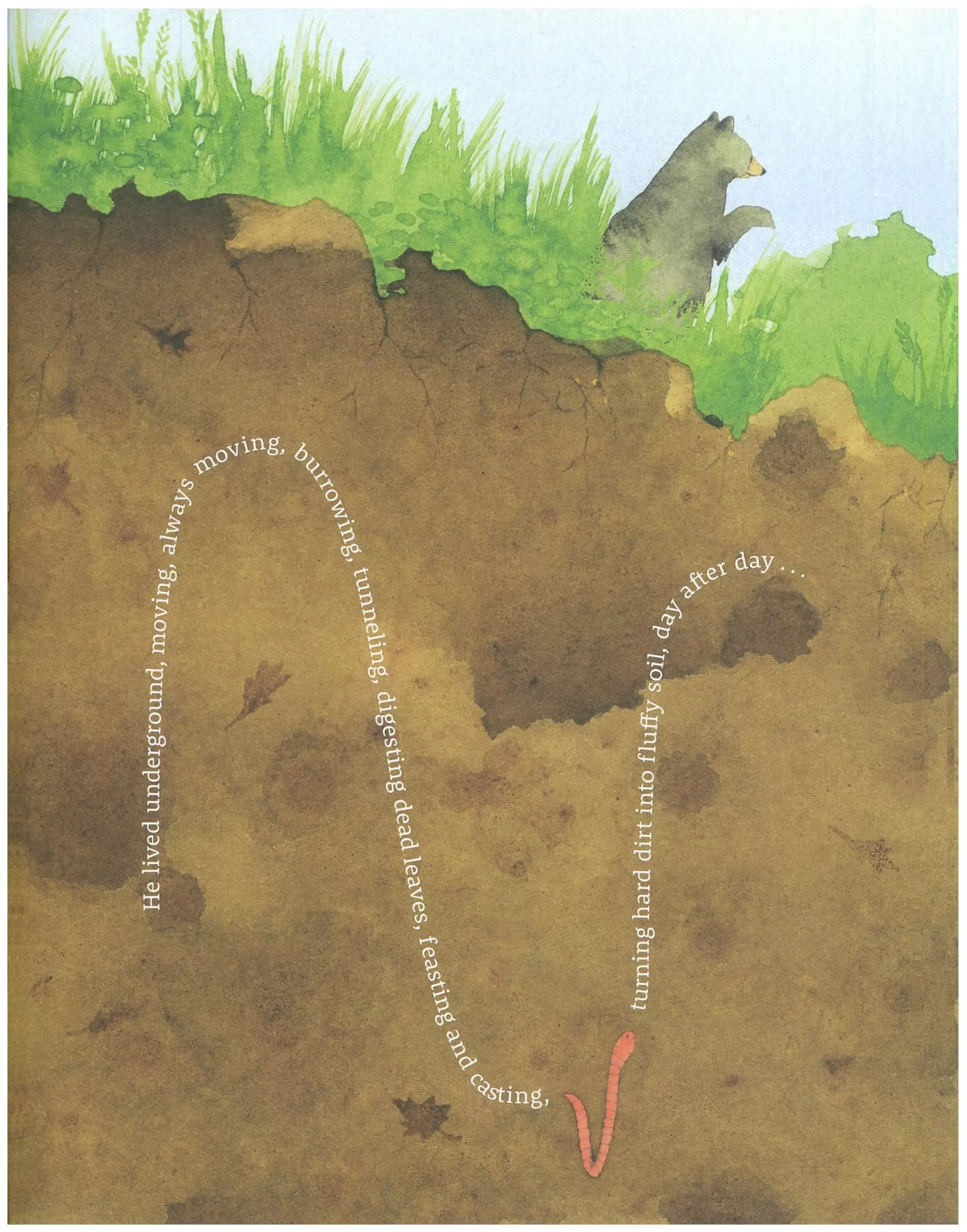 Carl and the Meaning of Life | PDF