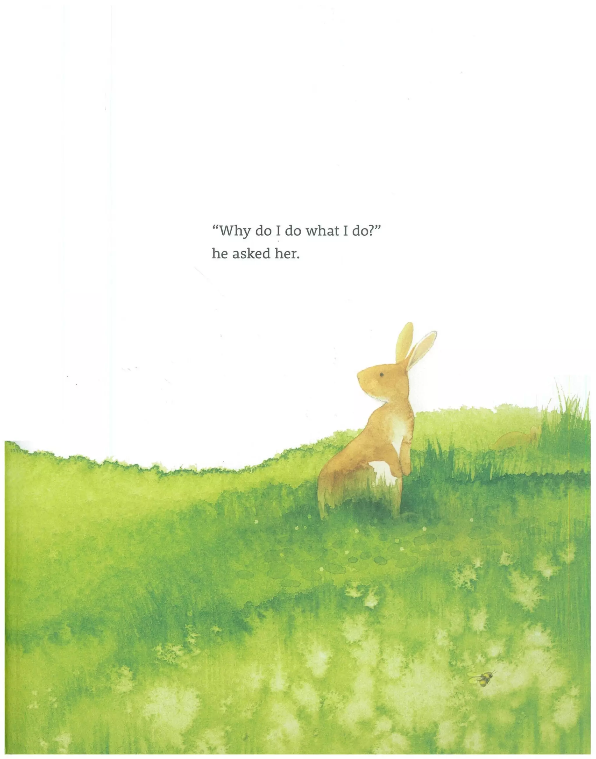 Carl and the Meaning of Life | PDF