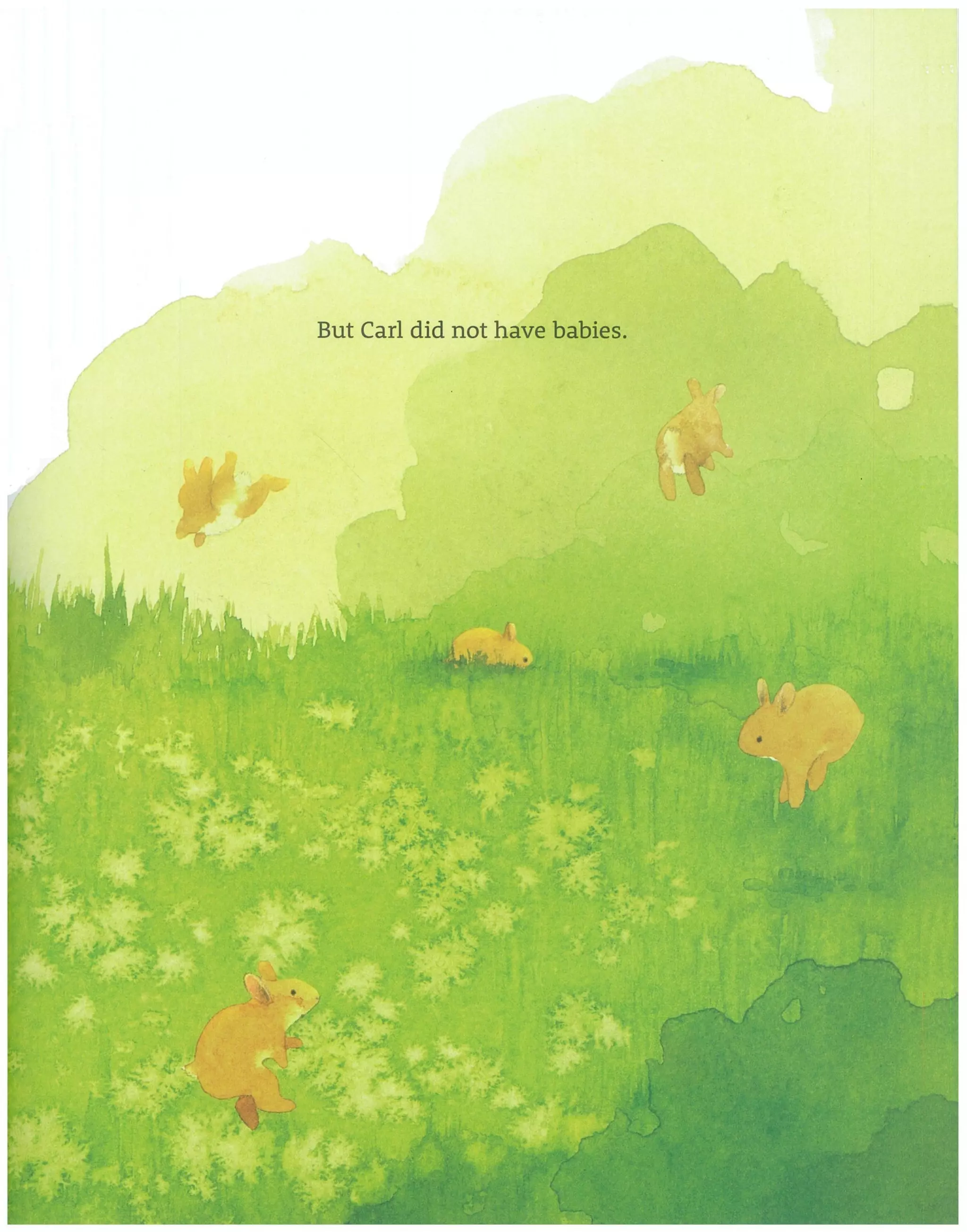 Carl and the Meaning of Life | PDF