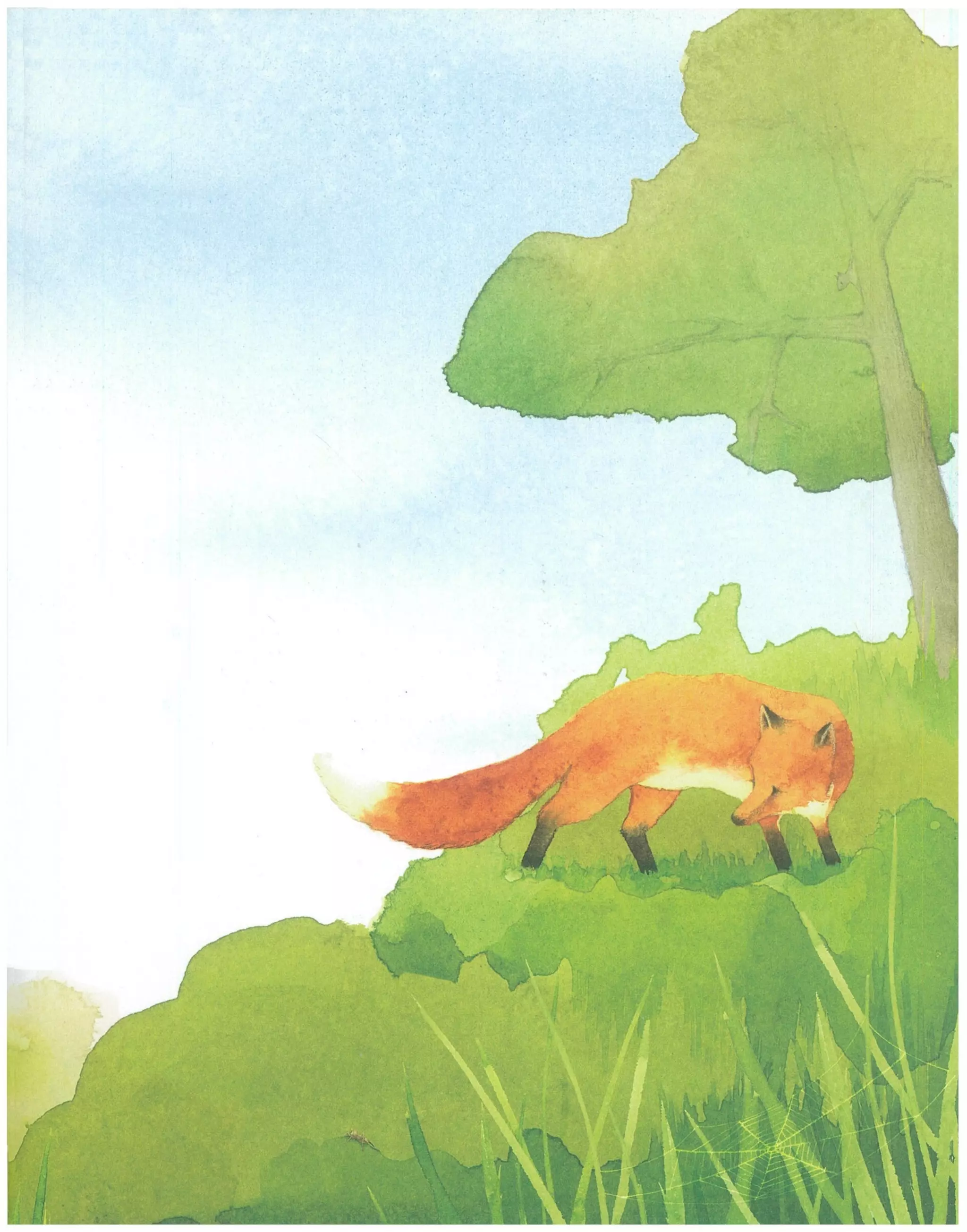 Carl and the Meaning of Life | PDF