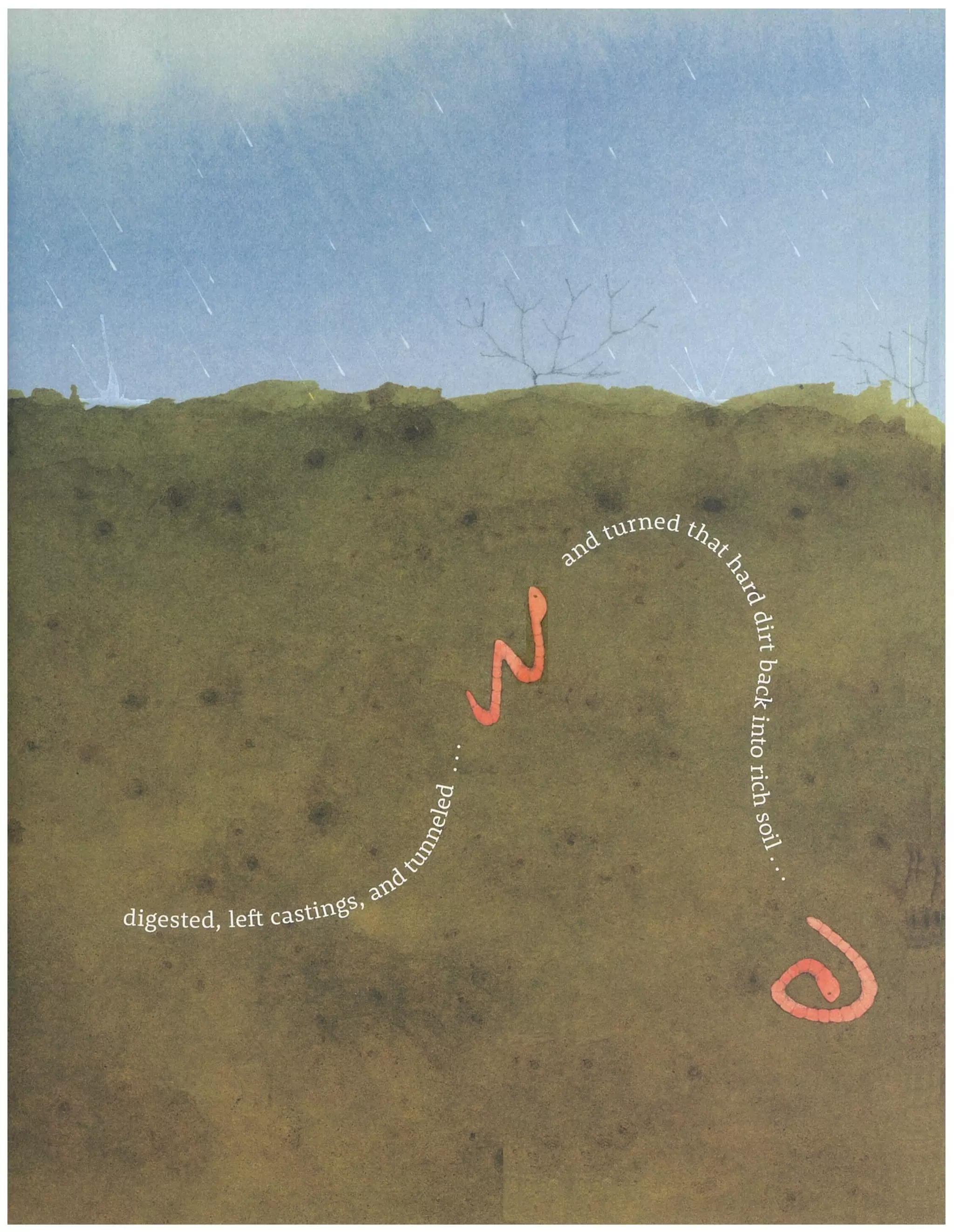 Carl and the Meaning of Life | PDF