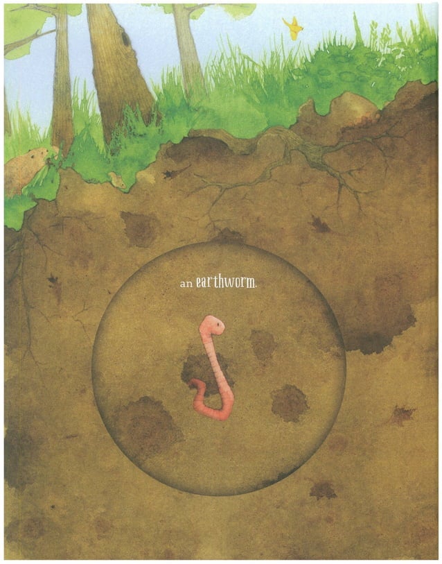 Carl and the Meaning of Life | PDF