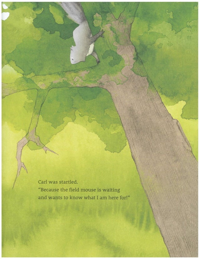 Carl and the Meaning of Life | PDF