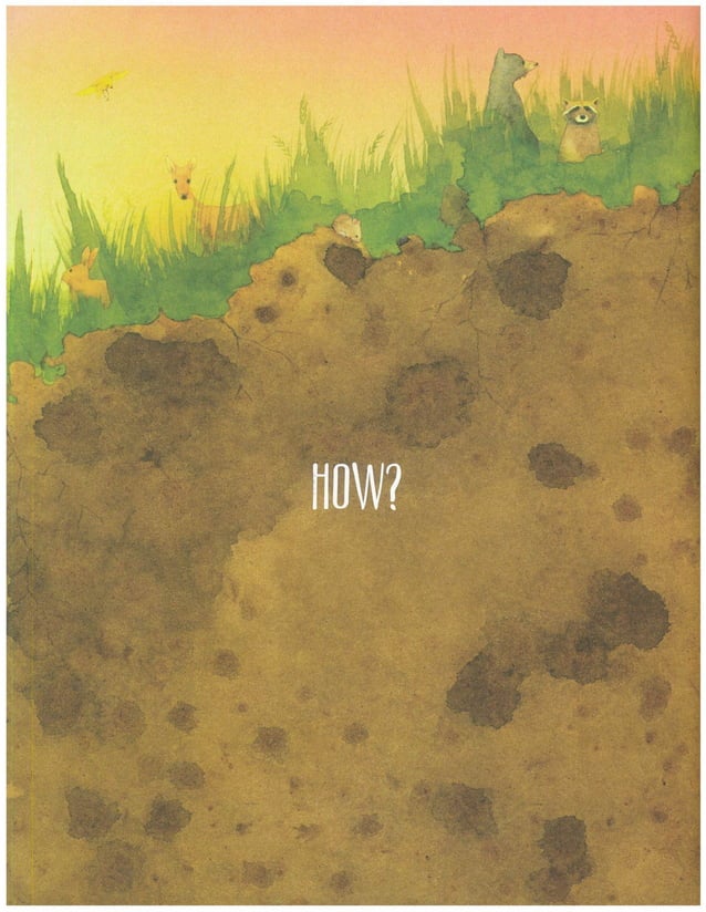 Carl and the Meaning of Life | PDF