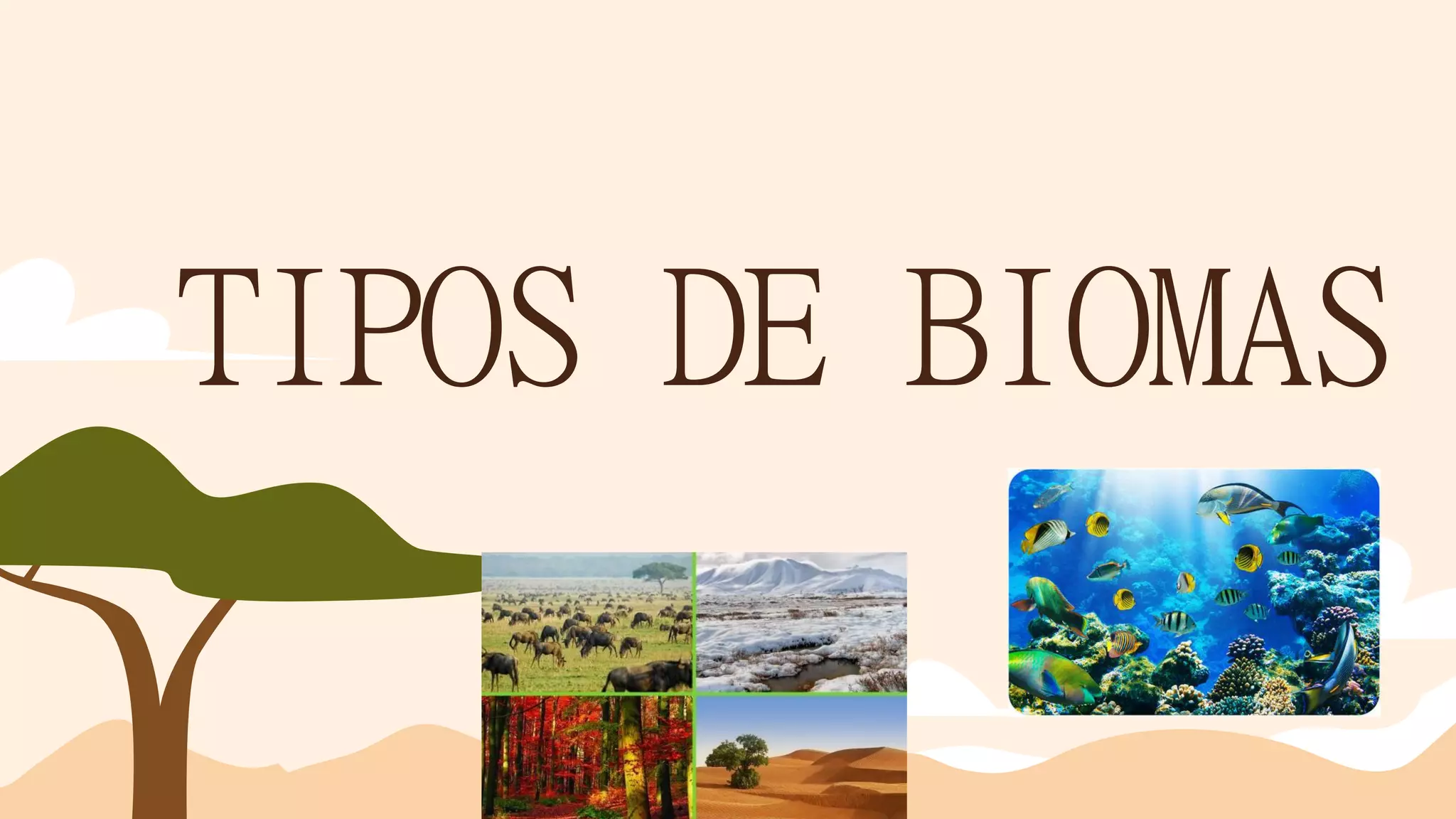 CARLA PINEDA BIOMAS .pdf