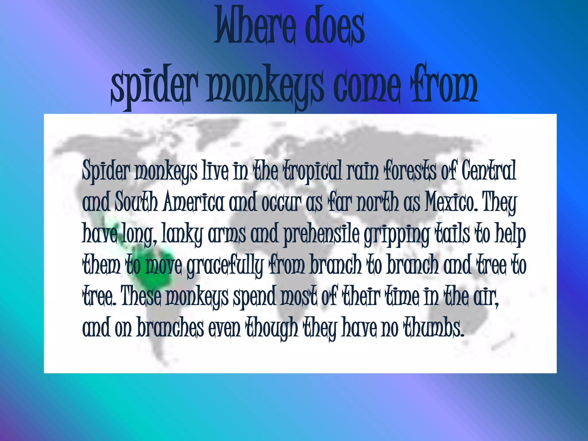 Carla spider monkey | PPTX