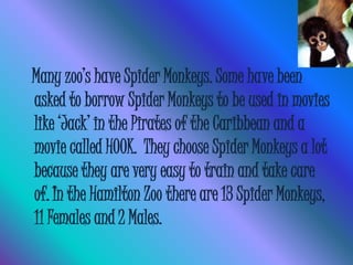 Carla spider monkey | PPTX