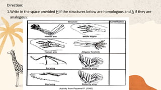 Grade 10-Science Evolution Comparative Anatomy | PPTX