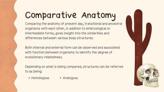 Grade 10-Science Evolution Comparative Anatomy | PPTX