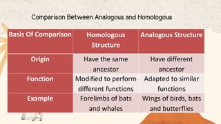 Grade 10-Science Evolution Comparative Anatomy | PPTX