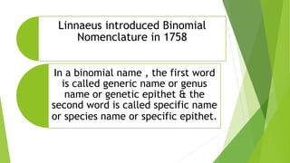 CAROLUS LINNAEUS ppt | PPTX | Biological Sciences | Science