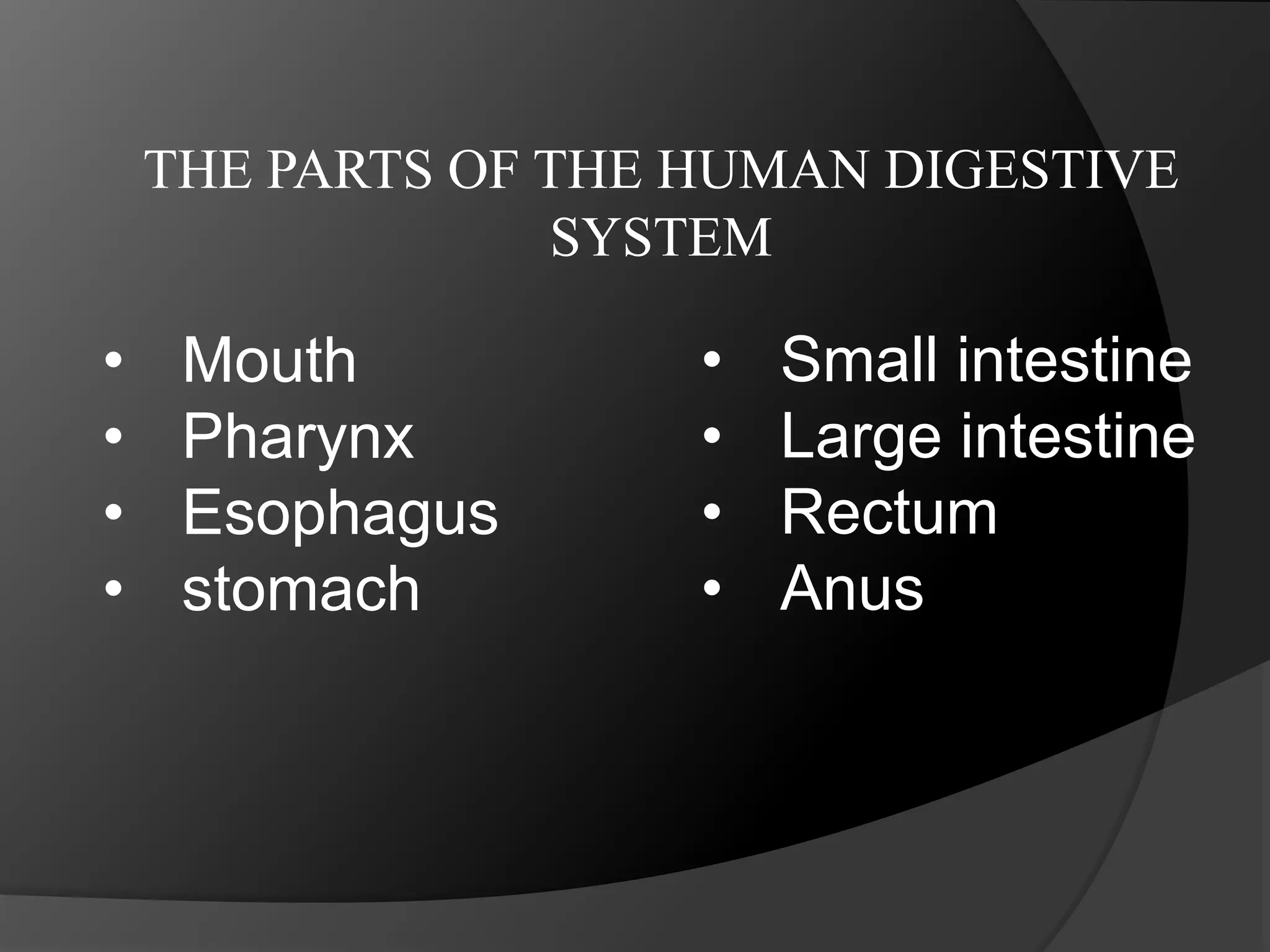 The human Digestive System | PPT