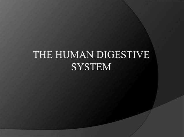 The human Digestive System | PPT