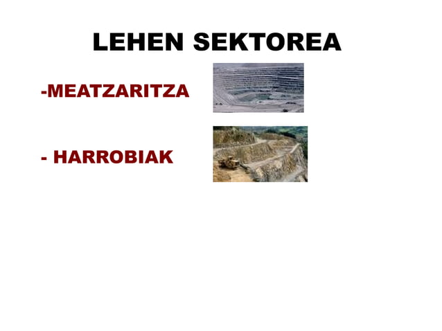 Carlos lan sektoreak espainian | ODP