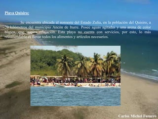 Carlos Michel Fumero - El Zulia y Sus Playas | PPTX