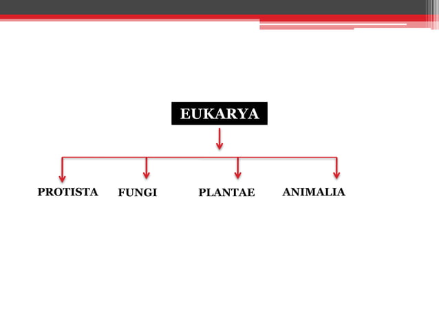 Carl Woese’s three kingdom classification.pptx | Biological Sciences ...