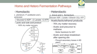 Carly Whittaker | PDF