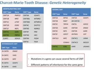 Dra. Carmen Espinós - 'Neuropatías periféricas hereditarias' | PPT