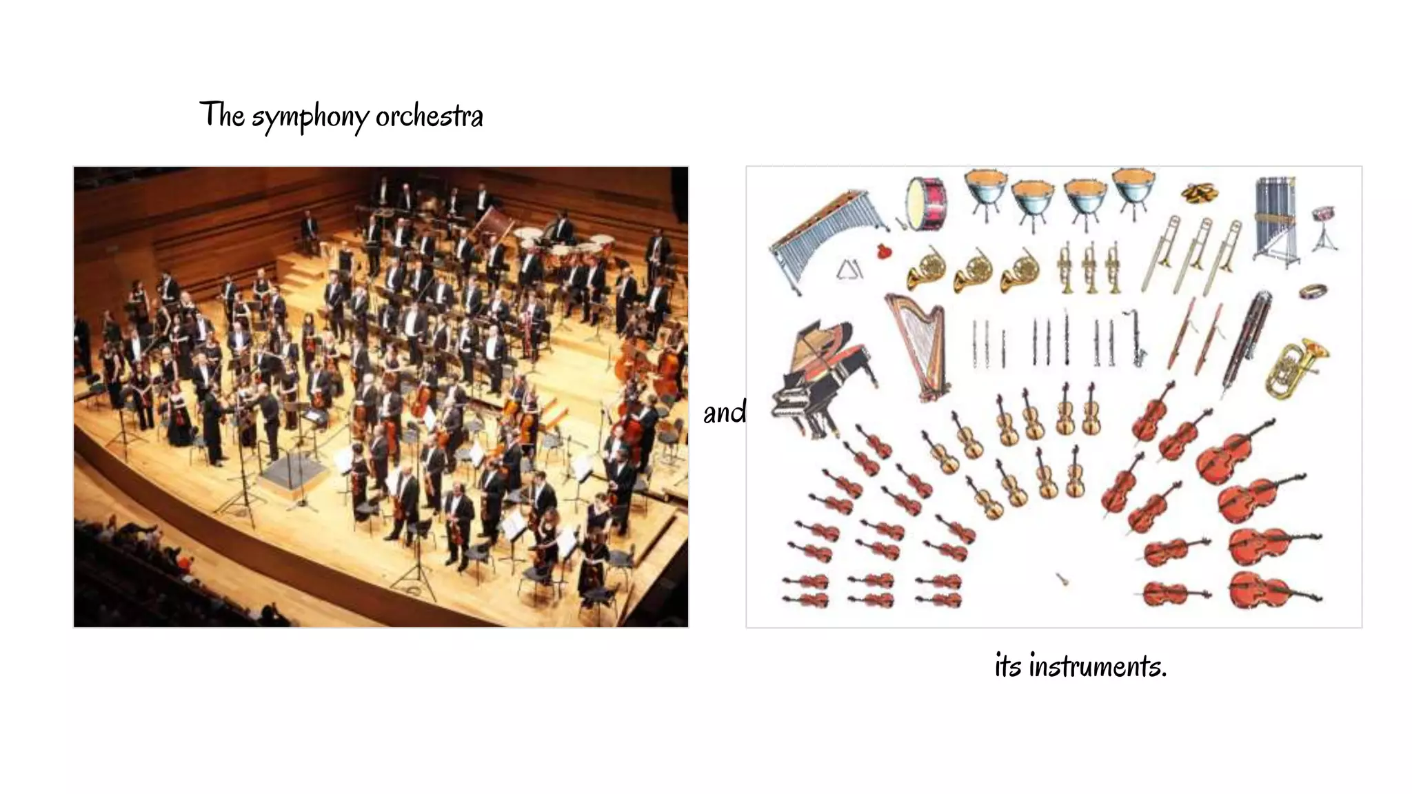 The symphony orchestra. | PPTX