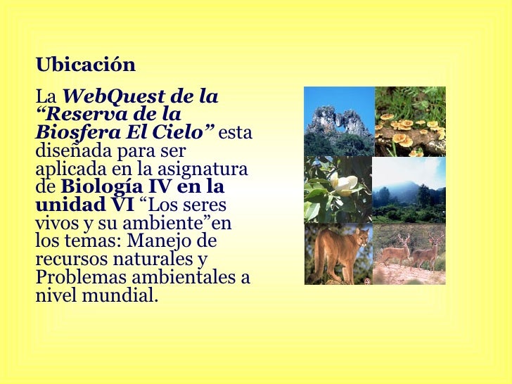 Reserva De La Biosfera “el Cielo”¿un Paraíso Protegido O Un Ecosistem…