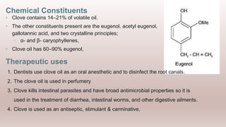 CARMINATIVES.pptx
