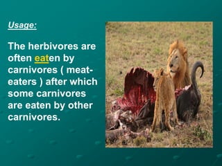 Root Word --> CARN | PDF